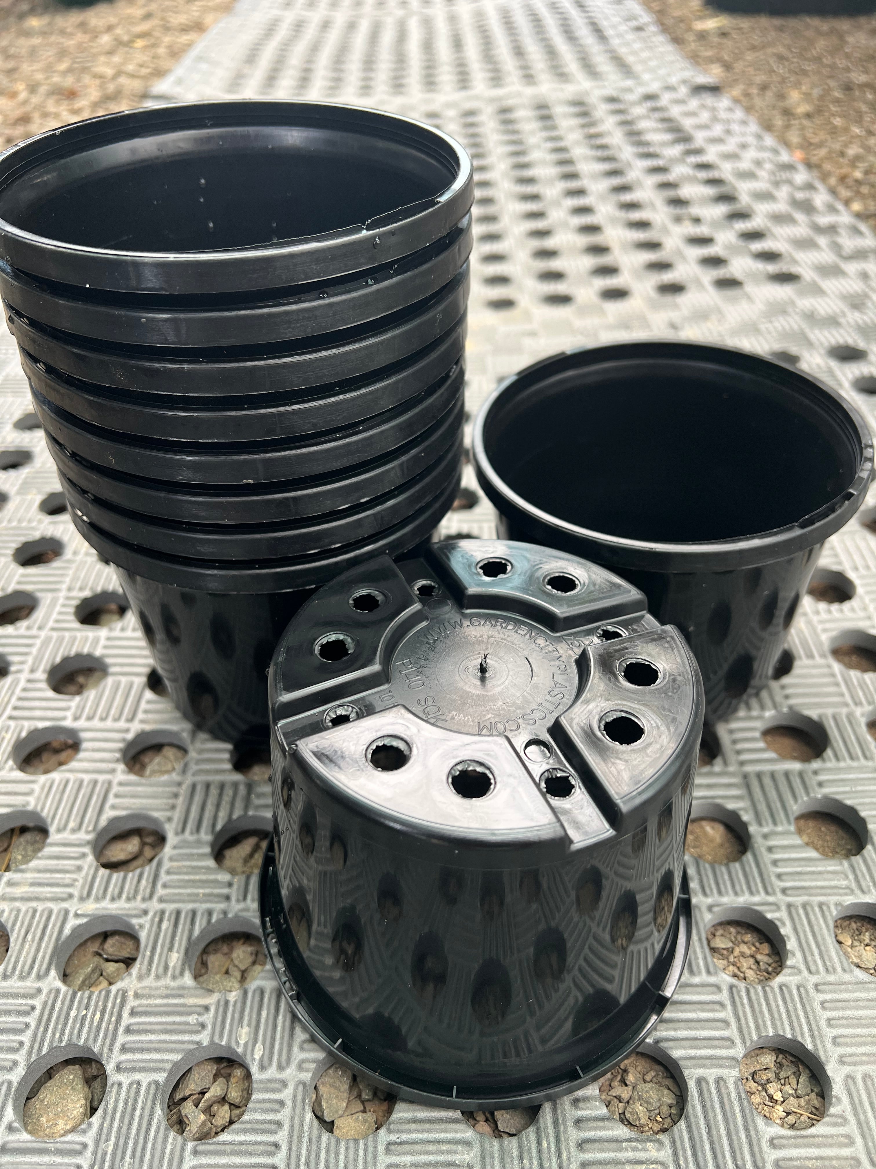 130mm Squat Pot – Sugarloaf Greenery